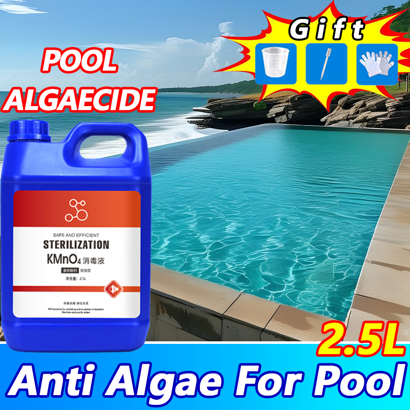 algaecide for swimming pool 2500ml anti algae for pool | Shopee Philippines
