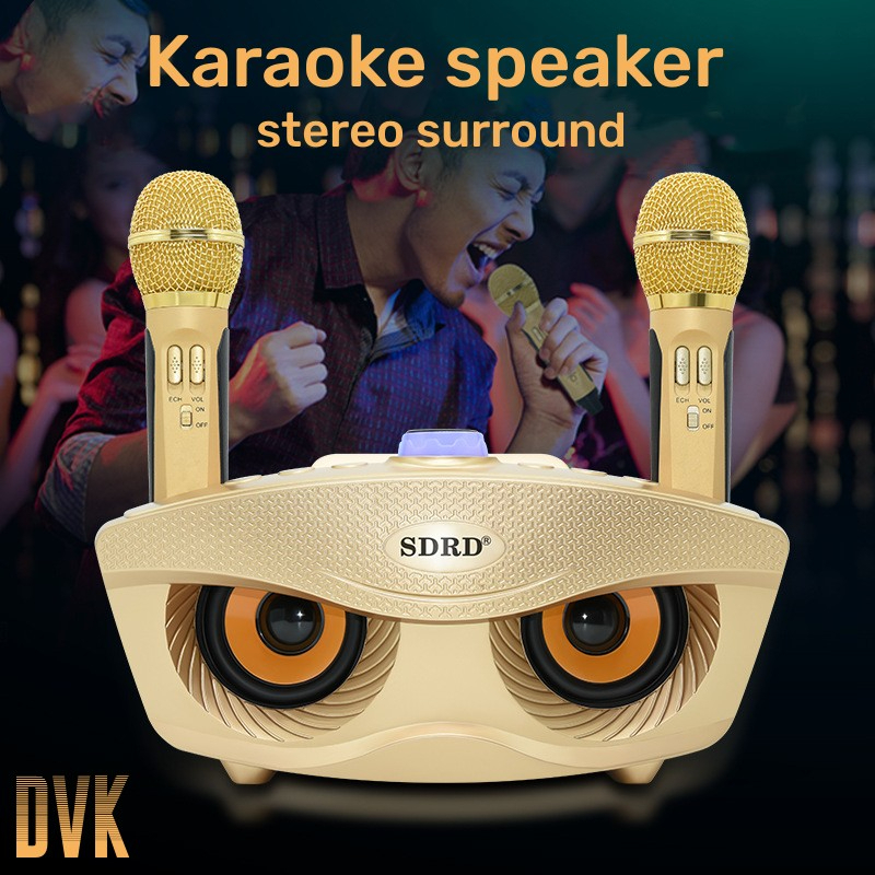 SDRD SD-306 Wireless Bluetooth Karaoke Speaker – Portable 3D Stereo Sound with Dual Microphones ...