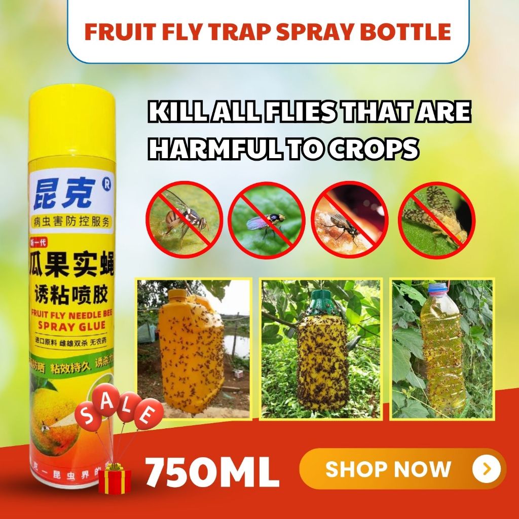 New generation fruit fly trap 750ml - Effective in repelling flies that ...