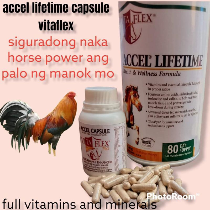 Accel Lifetime Capsule 1bottle | Shopee Philippines
