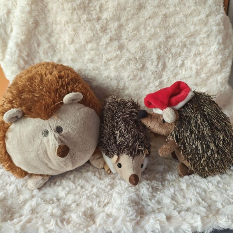 Hedgehog soft animal stuffed toy | Shopee Philippines