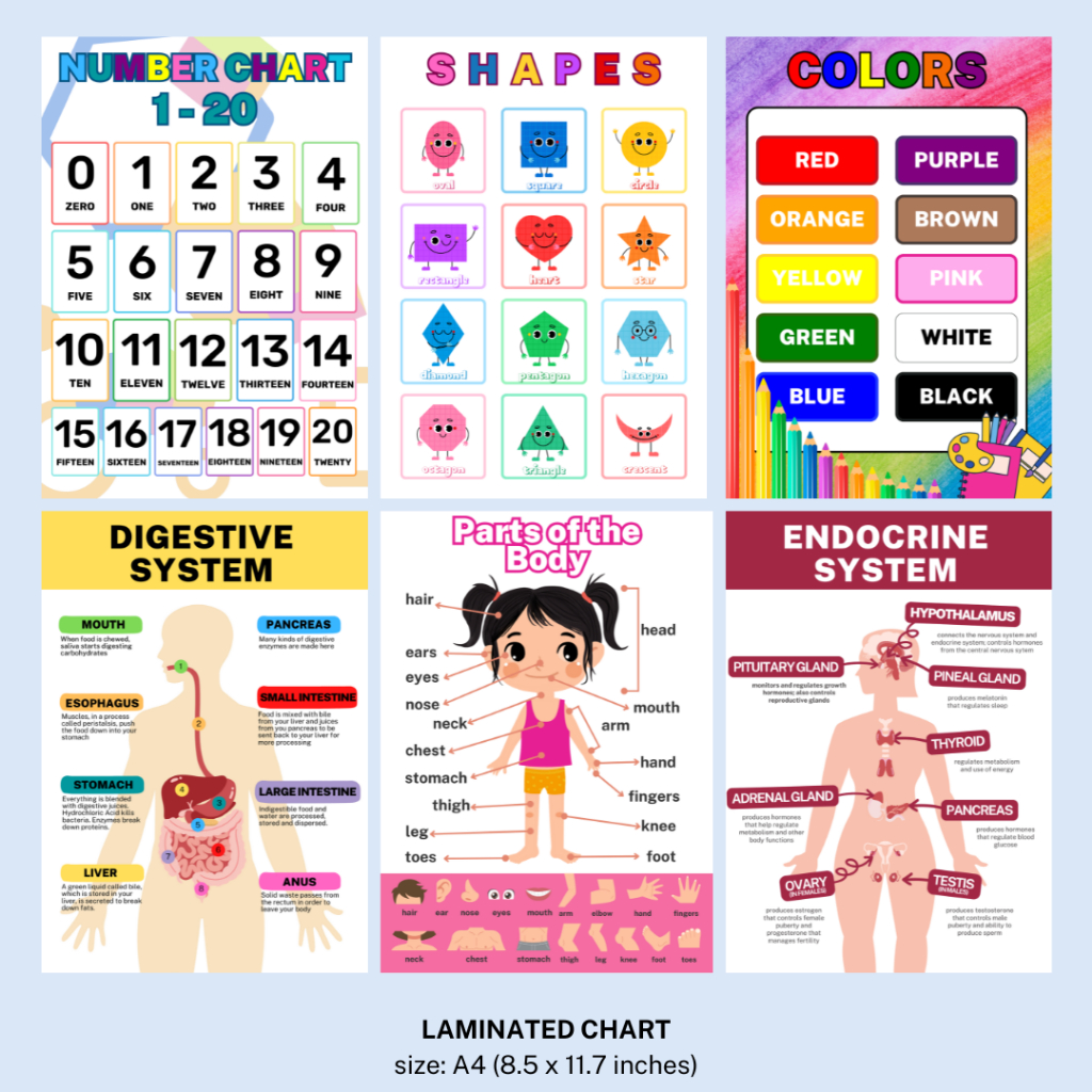 ABC Shapes Numbers A4 Laminated Educational Chart for Kids | Shopee ...
