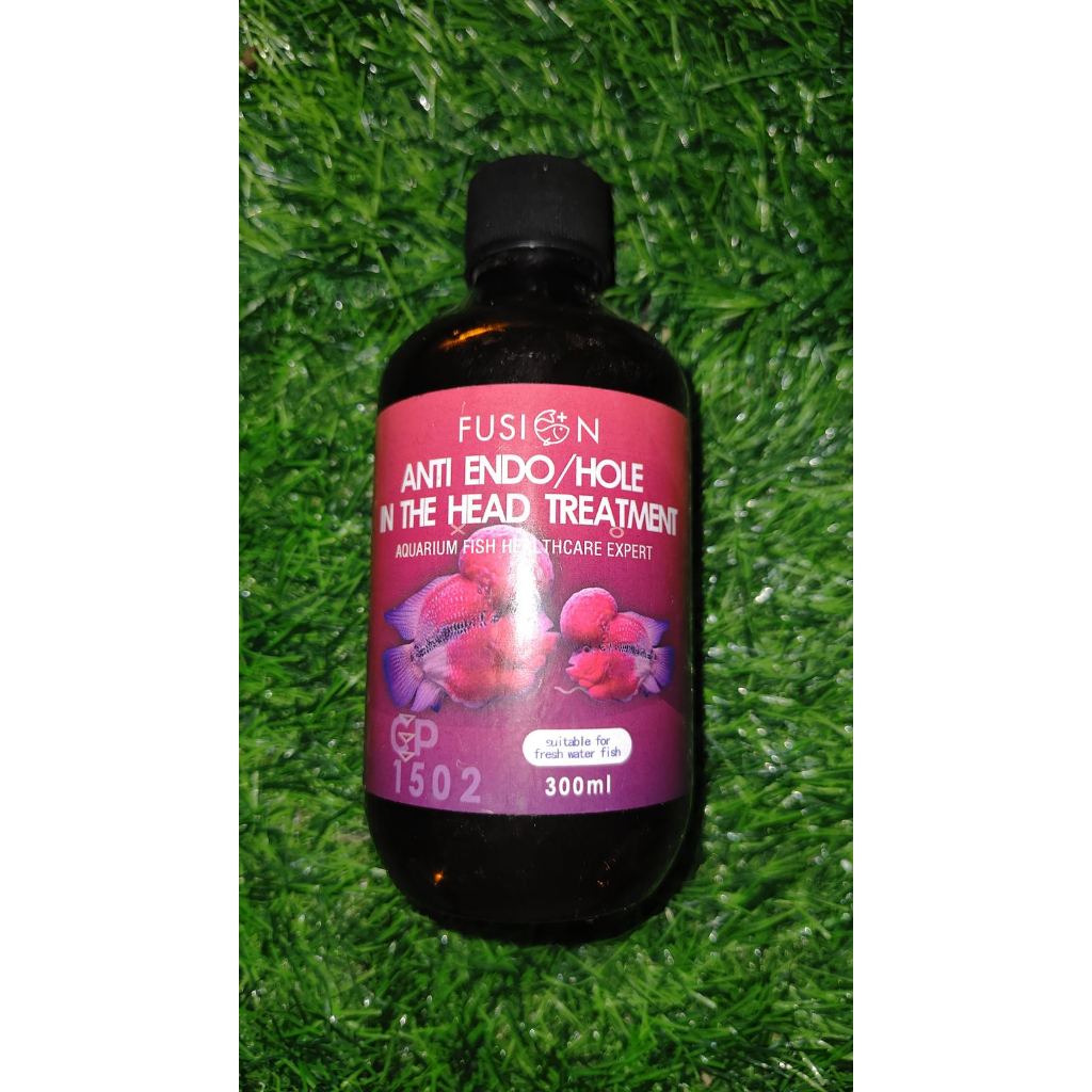 Fusion Anti Endo/Hole In The Head Treatment 300ml | Shopee Philippines