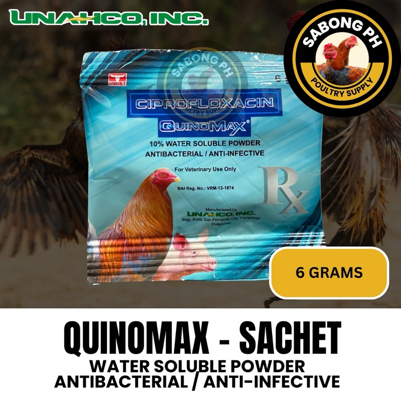 Quinomax 6g PER SACHET | Shopee Philippines