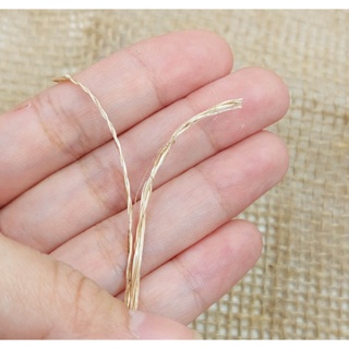 Abaca Natural Color Twine String (40 yards) | Shopee Philippines