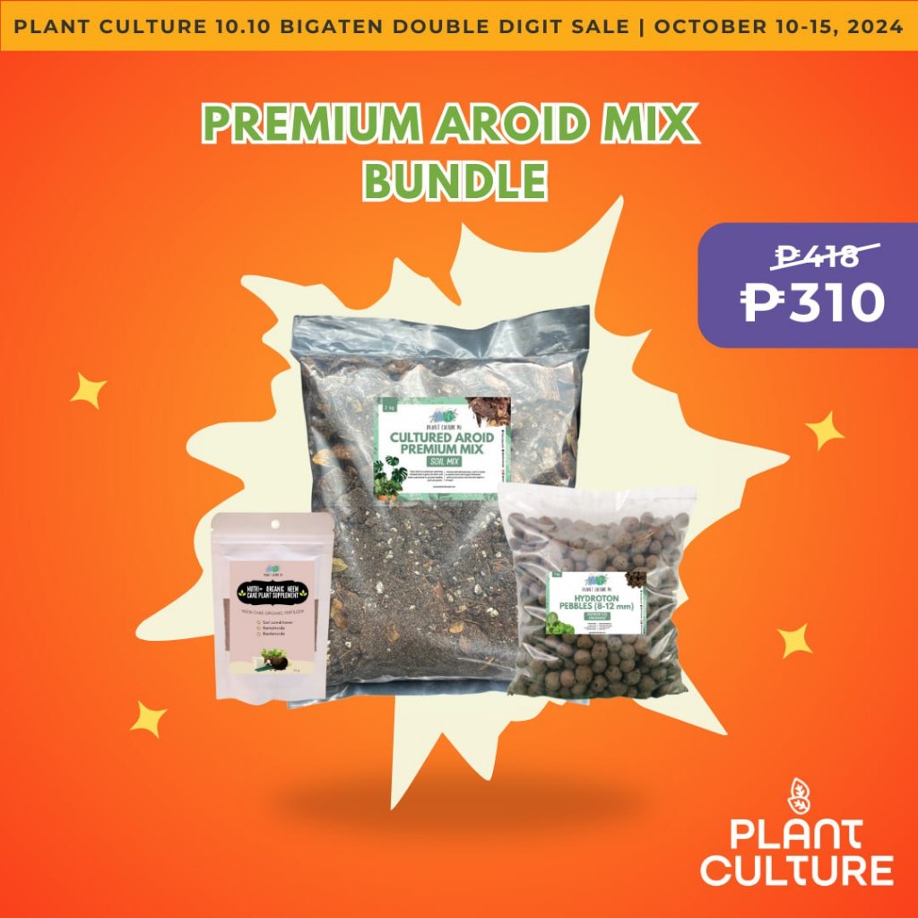 Plant Culture Premium Aroid Care Essentials Bundle | Aroid Soil Mix ...