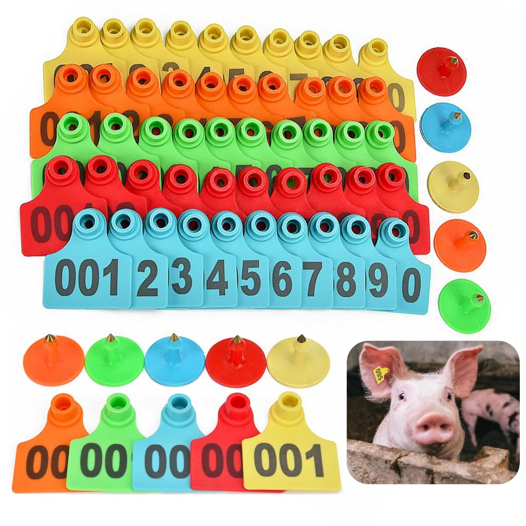 25Pcs Ear tag for Pig goat Cattle Sheep Animal ear tags Livestock rar ...
