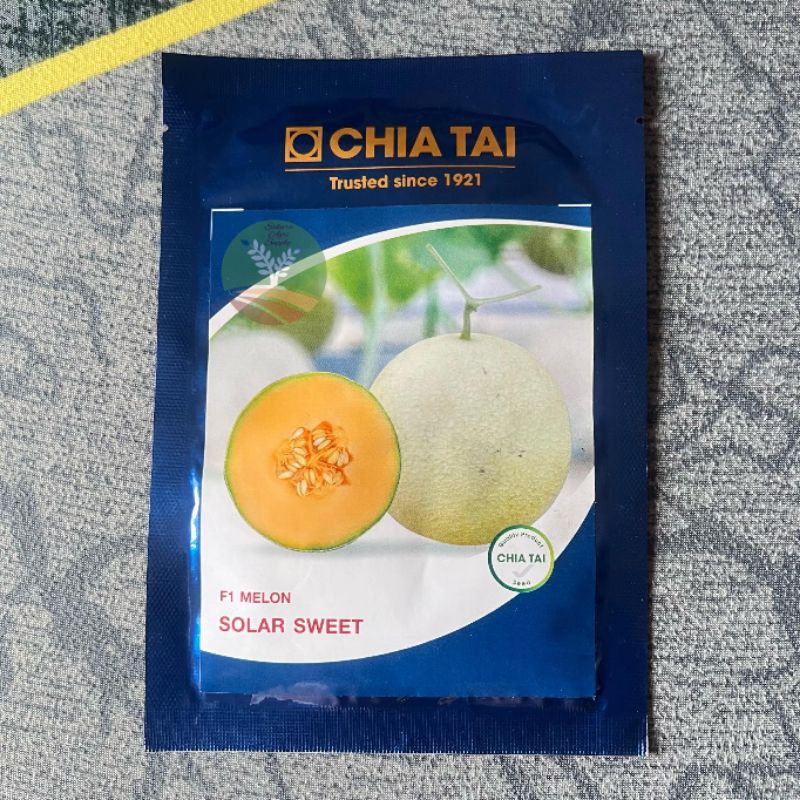 SOLAR SWEET F1 (10 grams) CHIA TAI HYBRID SWEET MELON QUALITY SEEDS ...