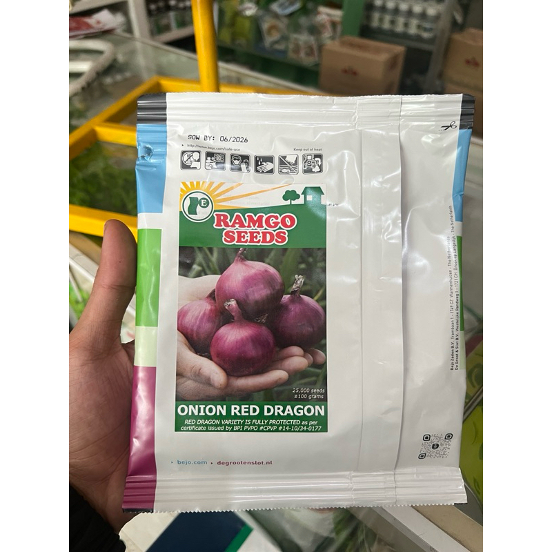 ONION RED DRAGON - RAMGO SEEDS (SIBUYAS) | Shopee Philippines