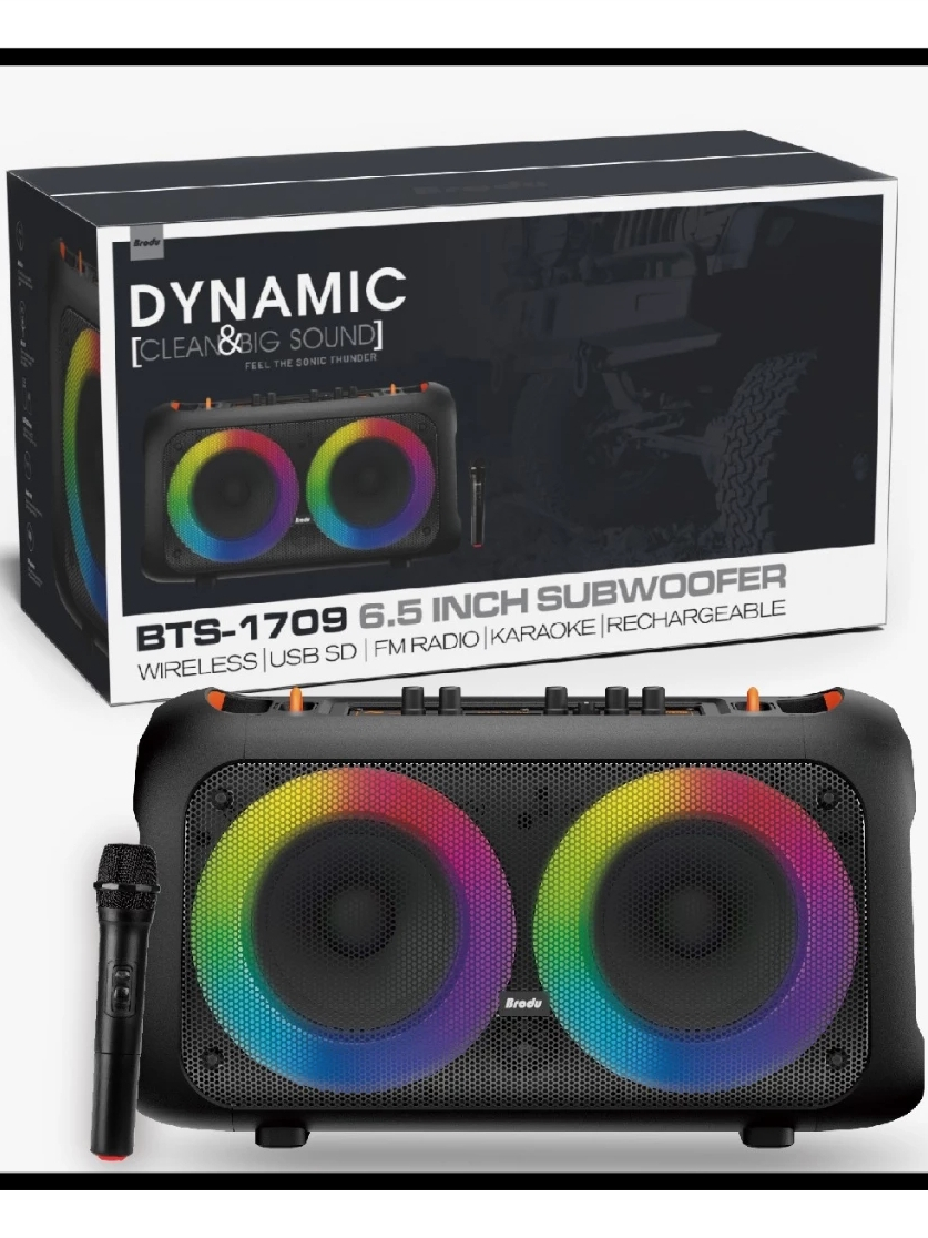 BTS 1709 DYNAMIC Subwoofer Bluetooth karaoke speaker | Shopee Philippines