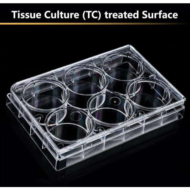 BT- Tissue culture plate 6well sterile per piece | Shopee Philippines