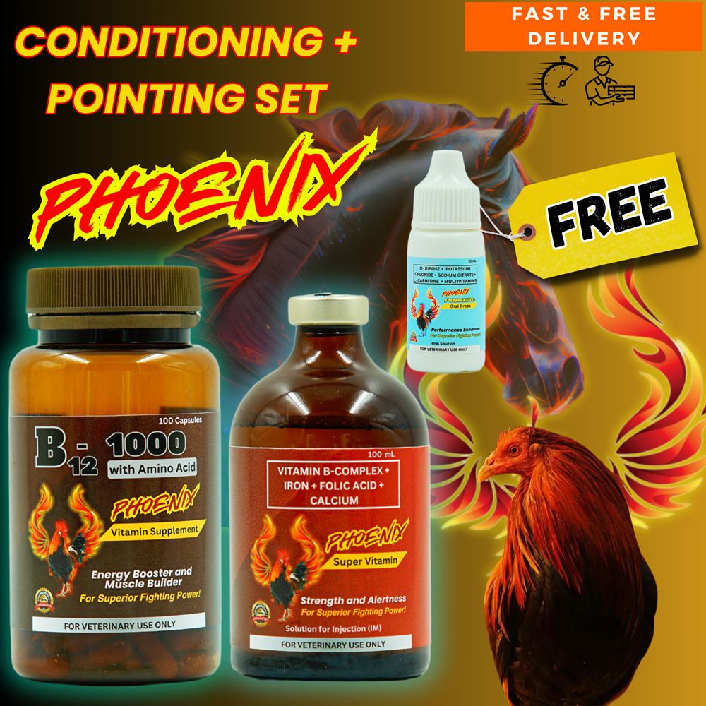 Phoenix Conditioning + Pointing Set 100mL/ 50mL/ 10mL Injectable, 100 ...