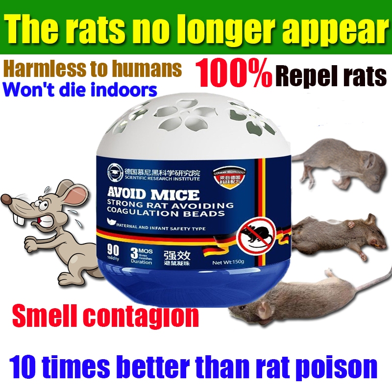 1000x stronger than a cat big rat killer poison 150g Harmless to people ...