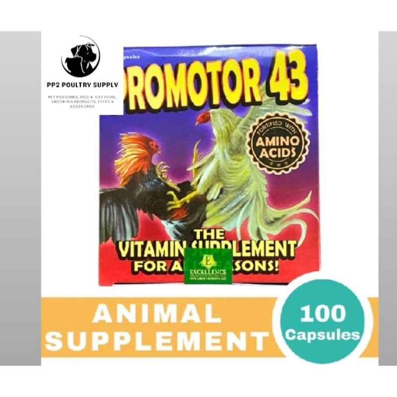Excellence PROMOTOR 43 Multivitamins ( 1 BOX) | Shopee Philippines