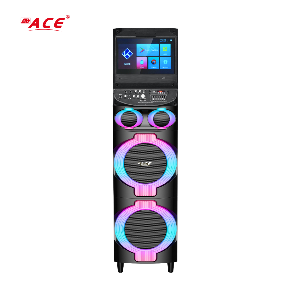 ACE MT-102TS Karaoke Speaker System | Shopee Philippines