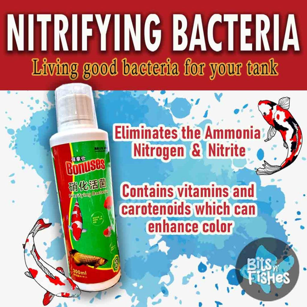 Bonuses Nitrifying Bacteria 300ml | Shopee Philippines