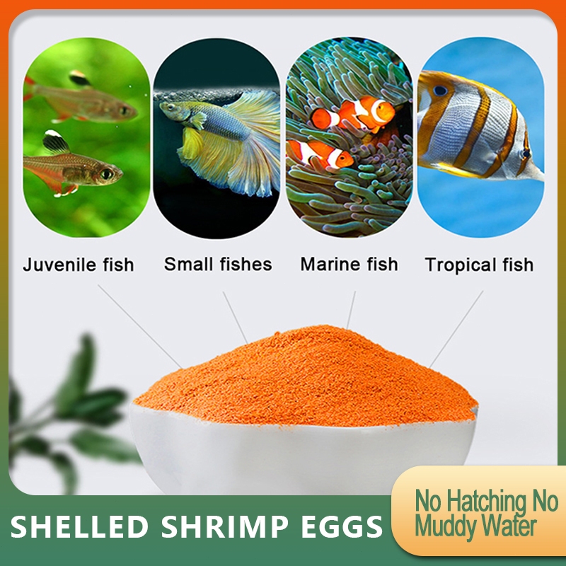 50/100g Decapsulated Baby Shrimp Eggs No Hatching Required BBS Shelled ...