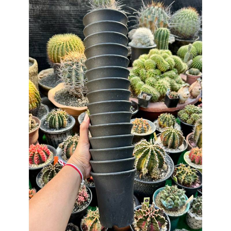 Thai and Japan Used Pots | Shopee Philippines