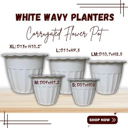 [Bagsak Presyo!] MURANG PASO Corrugated Flower Pot 10 PCS PER ORDER ...