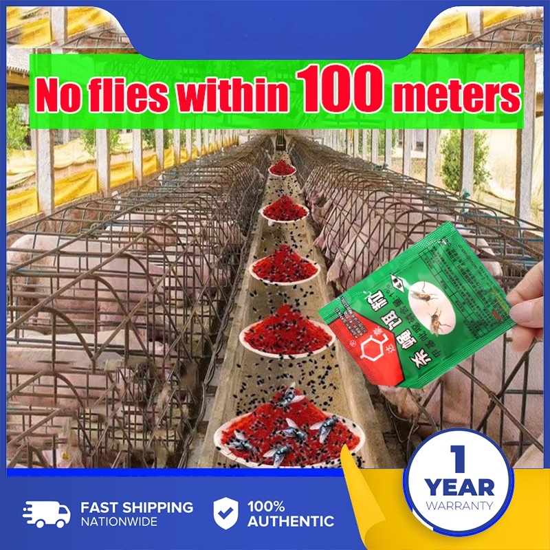 No flies for10years fly Killer ing Bait Powder langaw trap Attractant ...