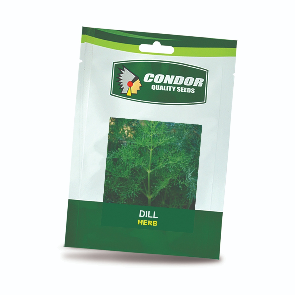 DILL (5 GRAMS) HERB CONDOR QUALITY SEEDS | Shopee Philippines