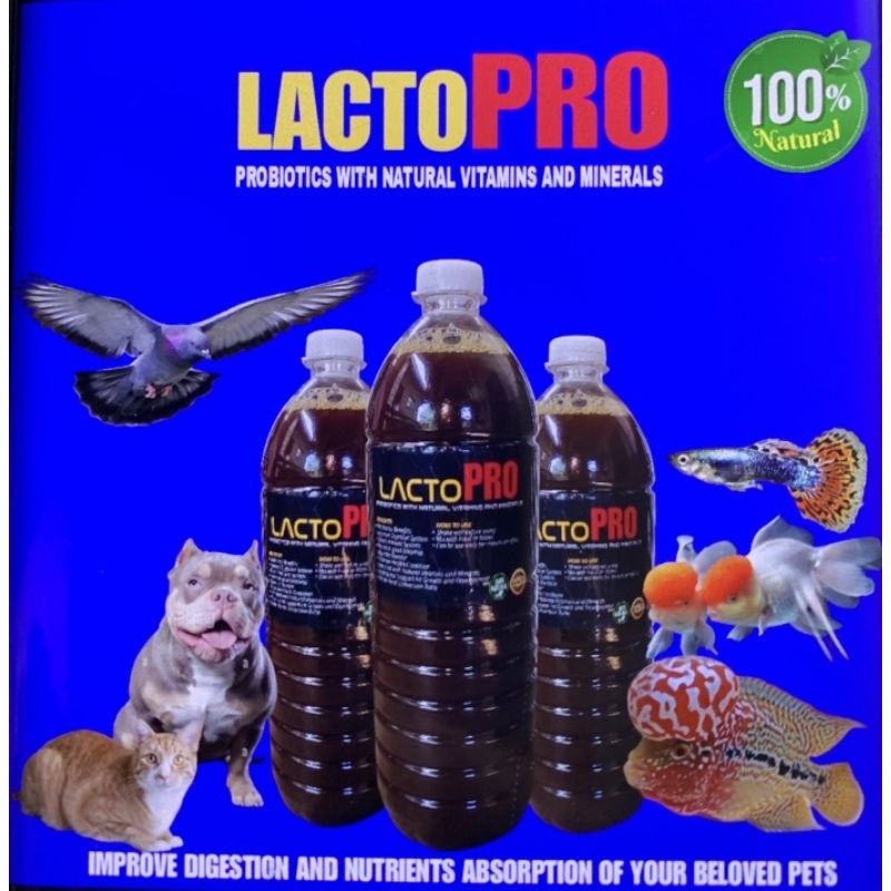 Lacto PRO Probiotics with Natural Vitamins and Minerals 300ML, 500ML and 1LITER | Shopee Philippines