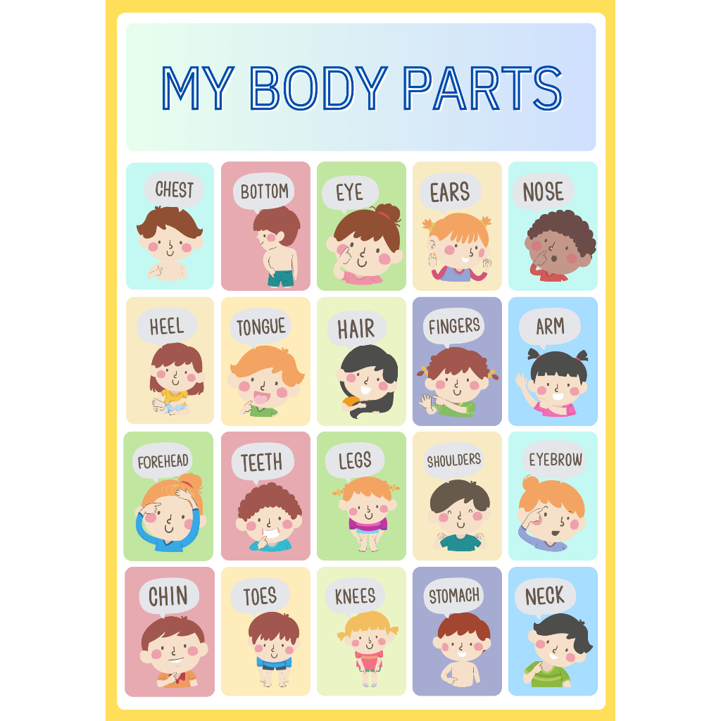 My Body Parts Chart for Kids – Laminated A4 Learning Tool | Shopee ...