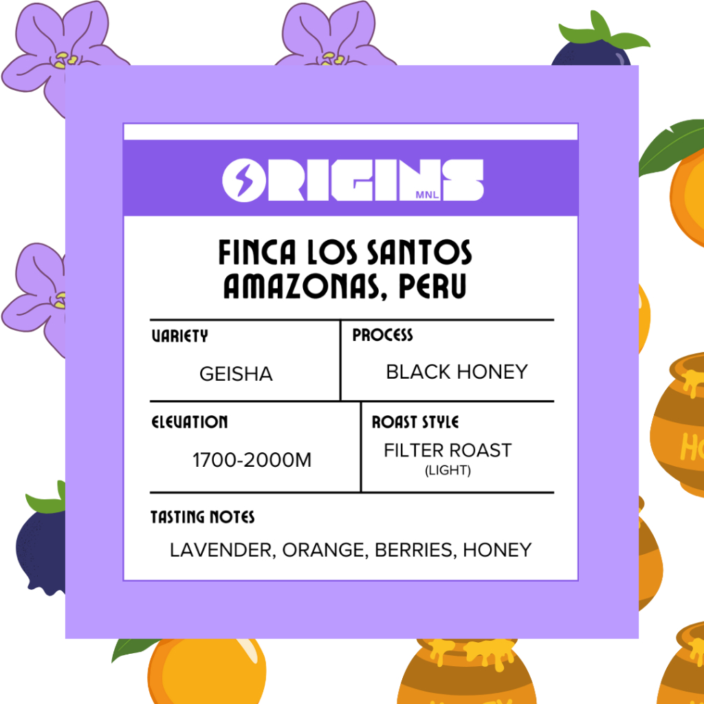 R/D: 1/13 Peru Black Honey Geisha Filter-Roasted Arabica Coffee (Whole ...