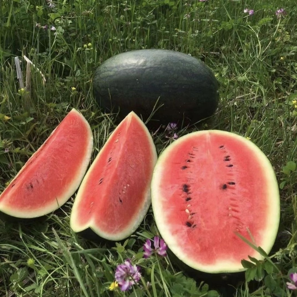 (20 Seeds)Giant Black Beauty Watermelon Seeds for Planting Super Sweet ...