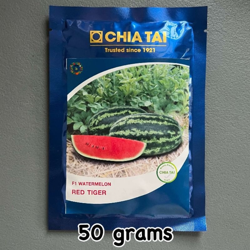 RED TIGER F1 (50g) CHIA TAI HYBRID ICE BOX TYPE OBLONG WATERMELON ...