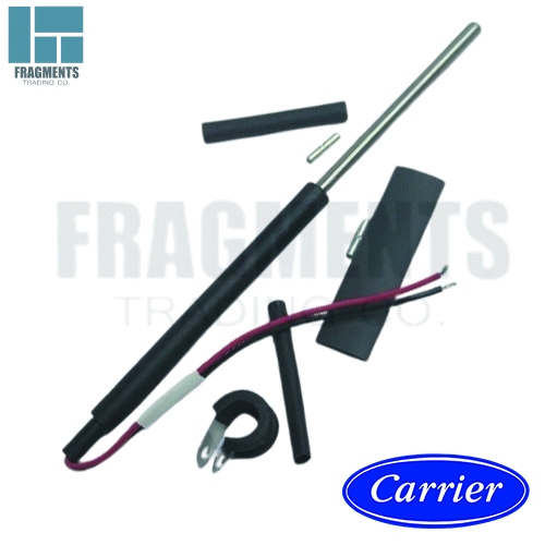 CARRIER REEFER SPARE PARTS SENSOR, THERMISTOR 12-00395-01SV | Shopee ...