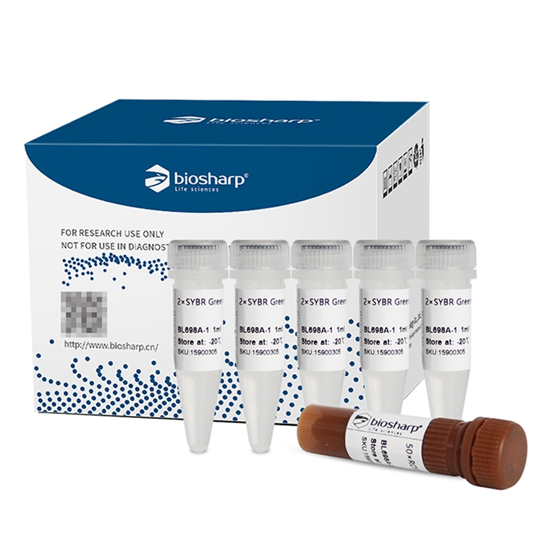 BL698A Fluorescence Quantitative PCR Kit SYBR Green qPCR Mix | Shopee ...