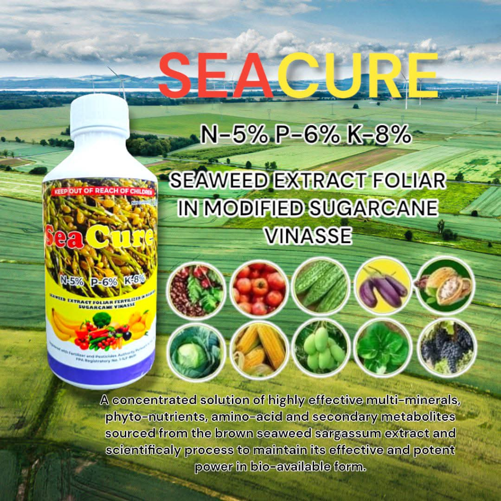SEACURE SEAWEEDS FOLIAR FERTILIZER | Shopee Philippines