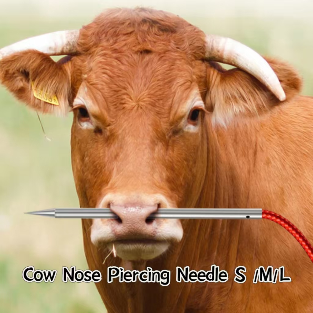 Stainless Steel Cow Nose Punching Needle Cow Nose Threading Tool Cattle ...