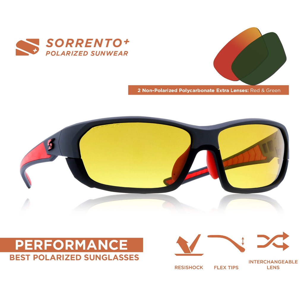 Sorrento+ Python (Multi-Lens Night&Day Driving Polarized/UV400 ...