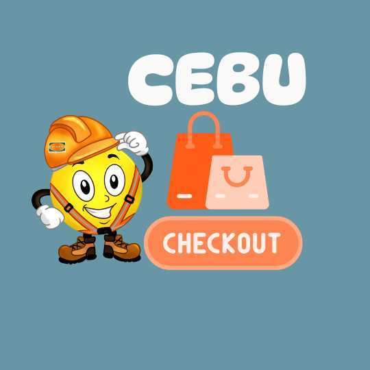 HI-SAFETY CEBU CHECKOUT- DIANNARA | Shopee Philippines