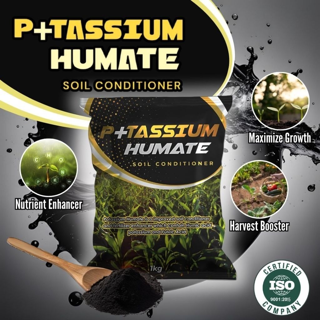 Potassium Humate / Soil conditioner / Fertilizer Enhancer / Rice ...