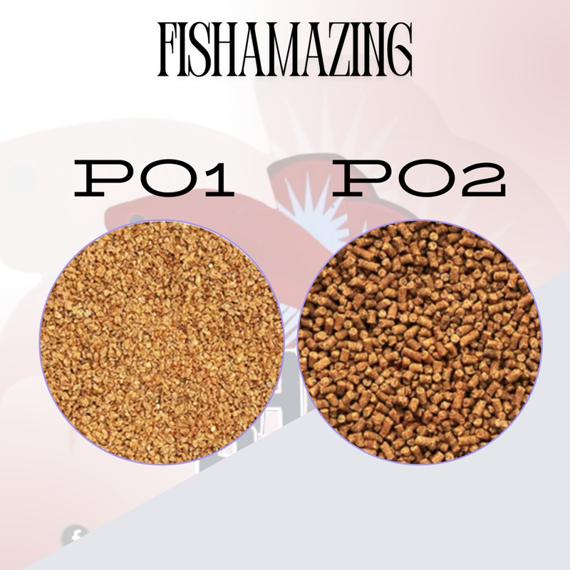 Premium PO1 & PO2 Sinking Pellets – High-Quality Fish Food | Shopee Philippines
