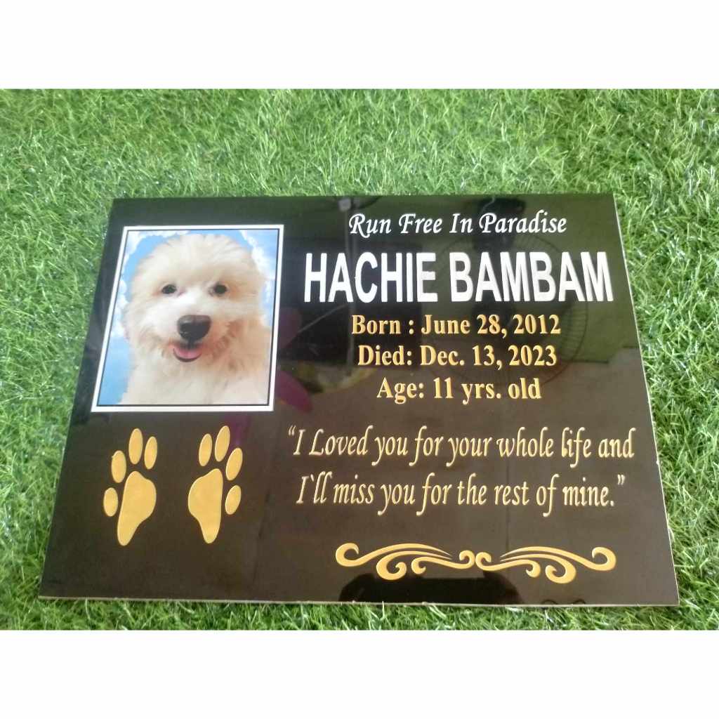 Pet Lapida Granite Tiles 20x30cm/Picture | Shopee Philippines