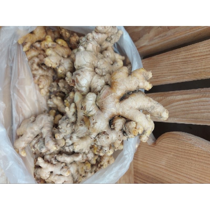 BENGUET GINGER/LUYA/LAYA 500g | Shopee Philippines