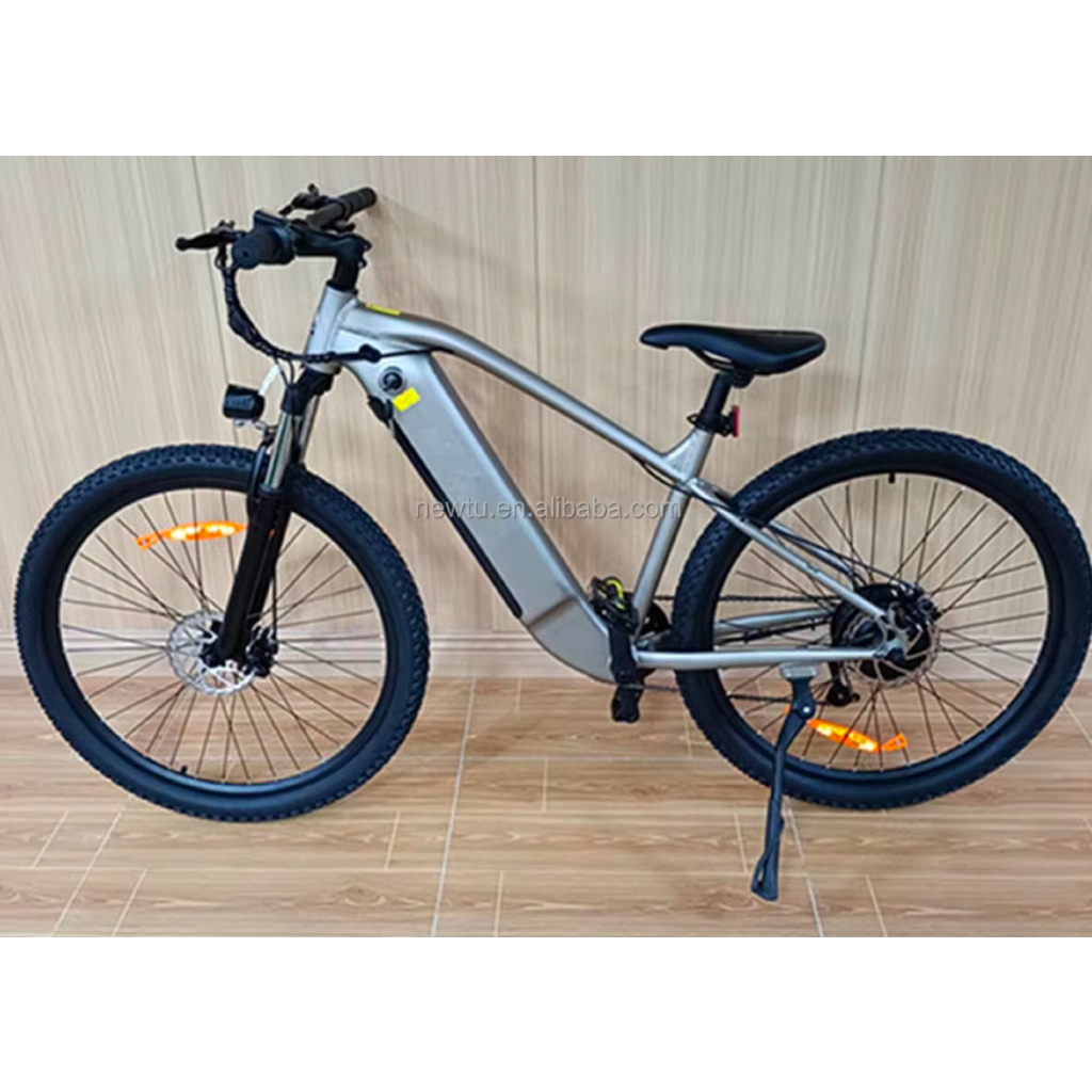Electric Bike 500w With 12Ah Large Endurance | Shopee Philippines