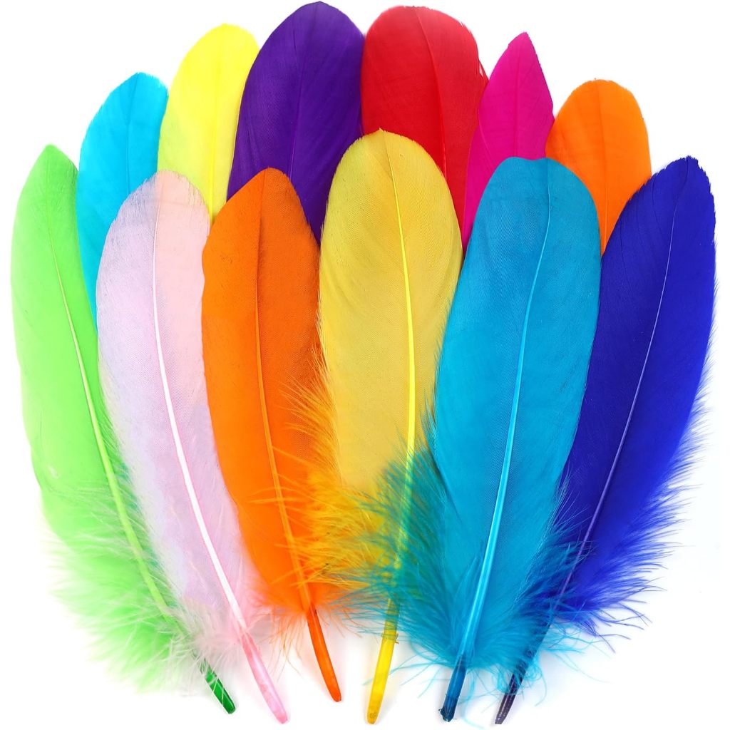 [Golden Dragon] Colorful Feathers 4-6Inches Feathers for DIY Crafts ...