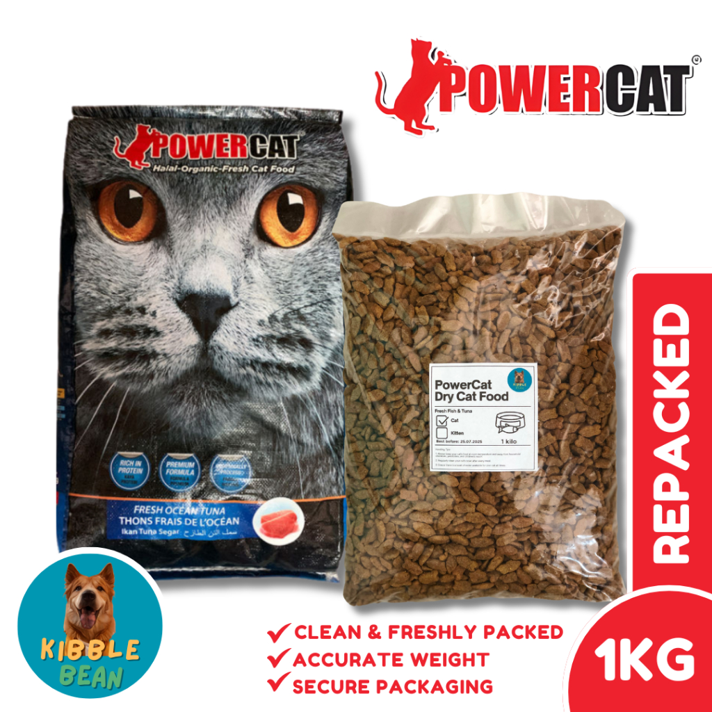 Power Cat - Adult Dry Cat Food Fresh Fish & Tuna and Fresh (1KG ...
