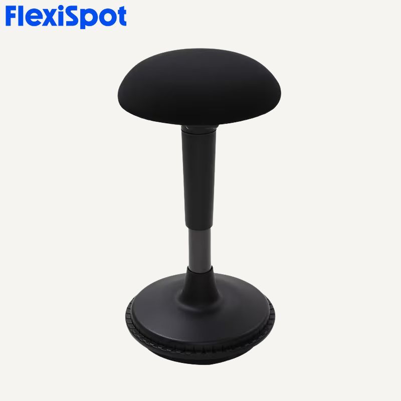 FlexiSpot Ergonomic Height Adjustable Wobble Stool BH4 | Shopee Philippines