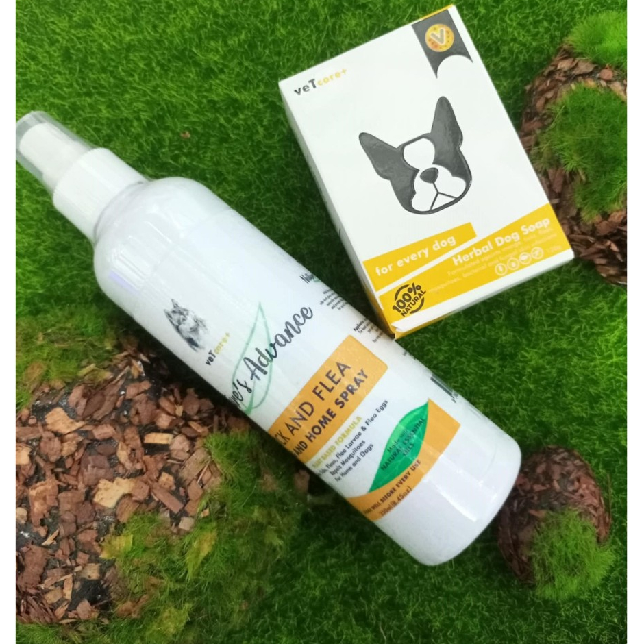 Vet Core+ Nature's Advance tick and flea spray 250ml with 1 free ...