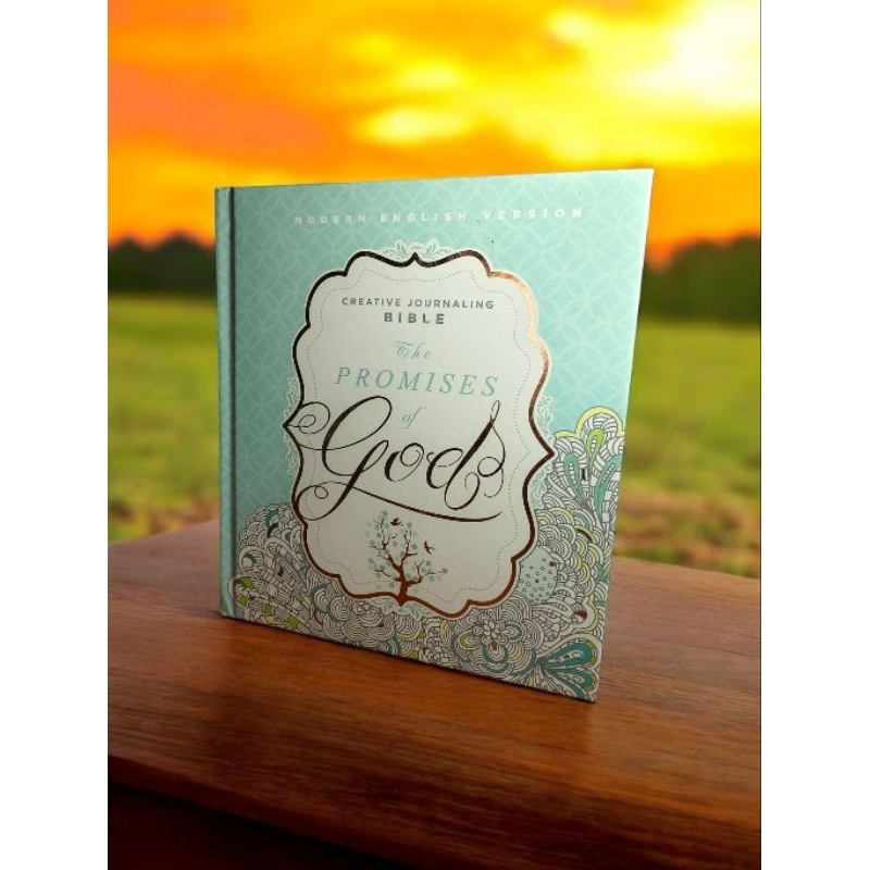 MEV Promises of God Creative Journaling Bible: Modern English Version ...