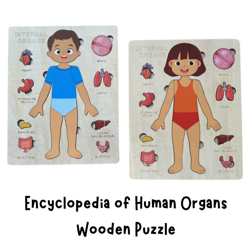 Human Body Anatomy / Human Organs Wooden Puzzle Montessori Educational ...