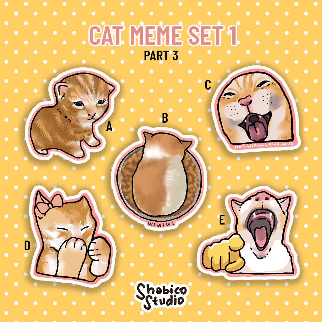 Cat Memes Sticker Set SET and Individual Sticker Vinyl Laminated PART 3 ...
