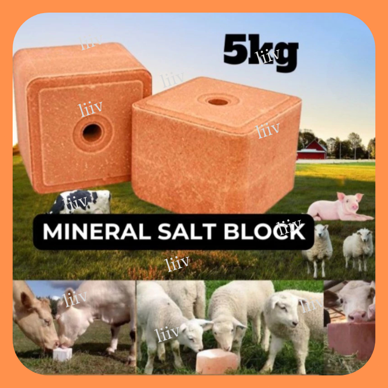 5Kg Himalayan Mineral Salt Block for Goat Natural Salt Lick for ...