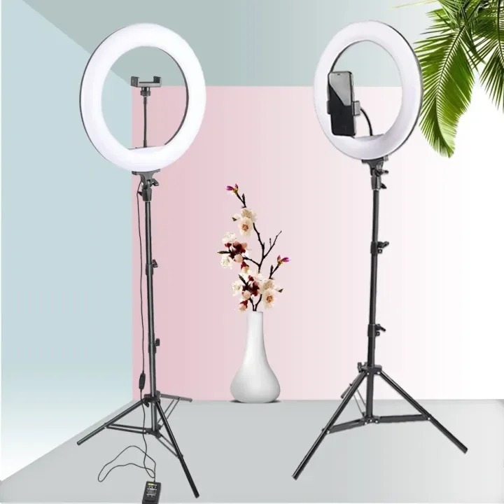 Yeelite Led Dimmable Ring Light with Phone Holder Set and Parts for ...
